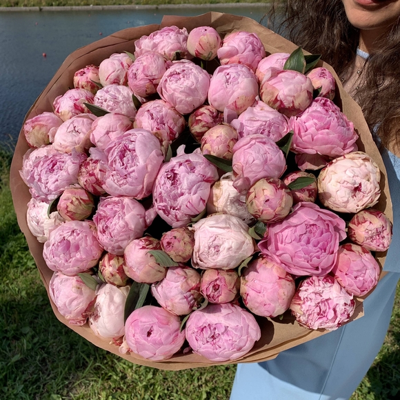 Букет из 51 розового пиона (Голландия) купить в Санкт-Петербурге ...