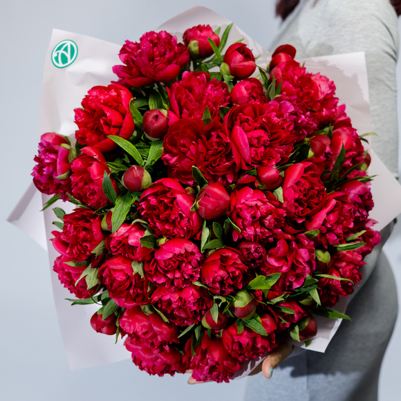 Букет из 51 бордового пиона (Россия) купить в СПб | Фото и видео букета ...